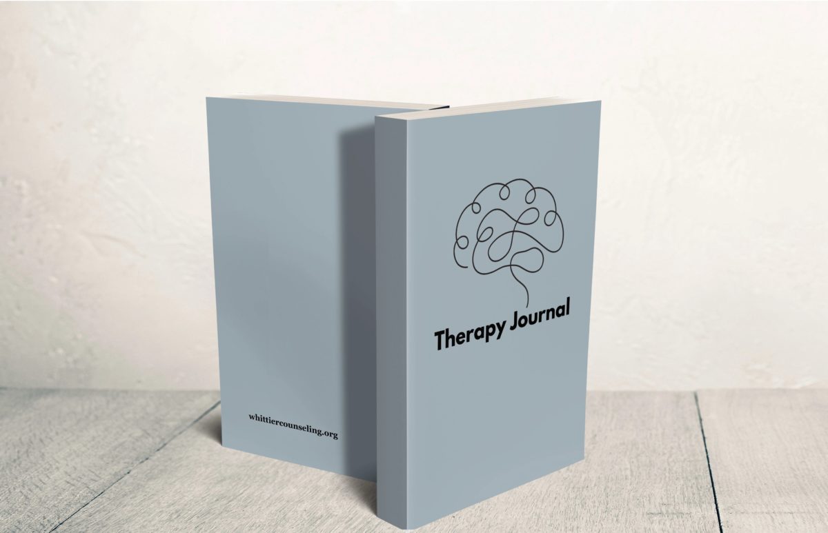 Introducing the Ultimate Therapy Journal: Unlocking the Power of Self ...